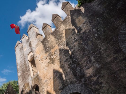 Cast in Time Book 3 Available this Sunday October 1, 2023 – Ed Nelson ...